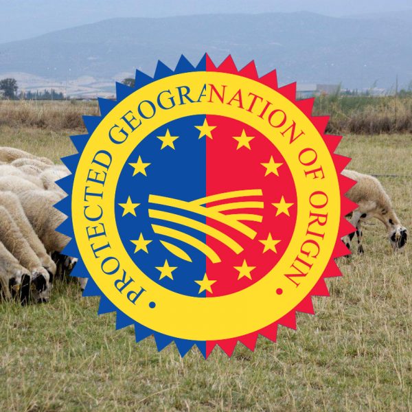 What is PDO and PGI Status? - Odysea